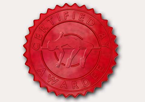 Free High Jump Certificate templates - Add Printable Badges & Medals